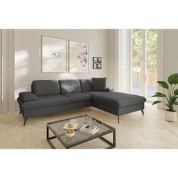 Sit & More sit&more Ecksofa &raquo;Morris Jubi L-Form, B: 247 cm&laquo; mit Armteilfunktion & 1 Zierkissen, optional Bettfunktion grau 95% Polyester, 5% Polyamid