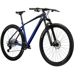Mountainbike &raquo;Hardtail Level 8.0&laquo; 12 Gang Shimano DEORE M6100 Schaltwerk Kettenschaltung mit Carbon-Rahmen und -Gabel grau Mountainbike