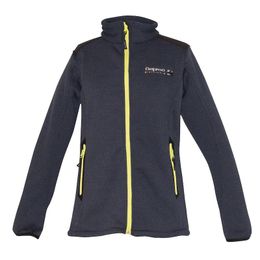 DEPROC Active Damen DEPROC Active Fleecejacke &raquo;Wohlf&uuml;hljacke WAVERLEY WOMEN&laquo; auch in Gro&szlig;en Gr&ouml;&szlig;en erh&auml;ltlich grau 36/38 (M)