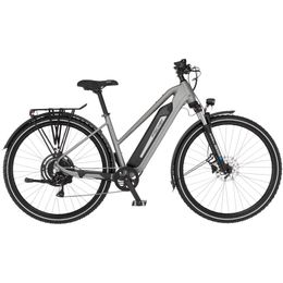 FISCHER BIKE Fischer Fahrrad Damen FISCHER Fahrrad &raquo;TERRA 2.2 688&laquo; 8 Gang Shimano ACERA Schaltwerk Heckmotor mit Akku-Ladeger&auml;t;mit Werkzeug, Pedelec, 