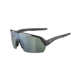 Alpina Ski-Sonnenbrille in schwarz | Gr.: onesize
