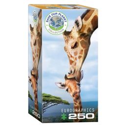 Eurographics Giraffenmutterkuss (Puzzle) | Gr.: onesize