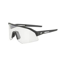 Alpina Ski-Sonnenbrille in schwarz | Gr.: onesize