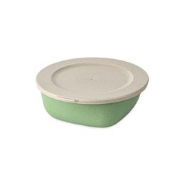 Koziol CONNECT BOX 1,3 - Box mit Deckel 1,3l in nature leaf green | Gr.: onesize