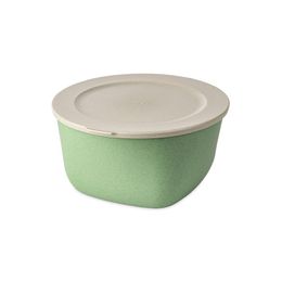 Koziol CONNECT BOX 4 - Box mit Deckel 4l in nature leaf green | Gr.: onesize