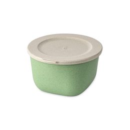 Koziol CONNECT BOX 1 - Box mit Deckel 1l in nature leaf green | Gr.: onesize