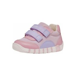Geox Halbschuhe in Violett/Rosa | Gr.: 24