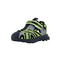 Geox Sandalen in Grau | Gr.: 3