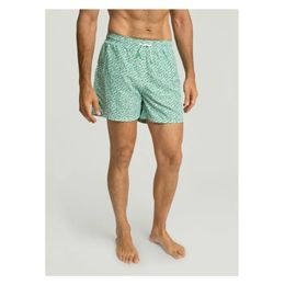 Hackett London Badeshorts in Gr&uuml;n | Gr.: 3XL