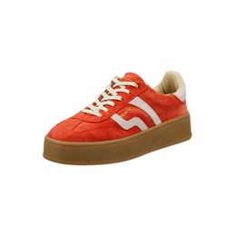 Gant Plateau Sneaker in Orange | Gr.: 41