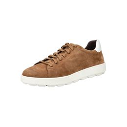 Geox Sneaker in Toffee | Gr.: 43