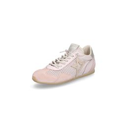 CETTI Sneaker in Rosa | Gr.: 42