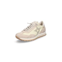 CETTI Sneaker in Hellgelb | Gr.: 42