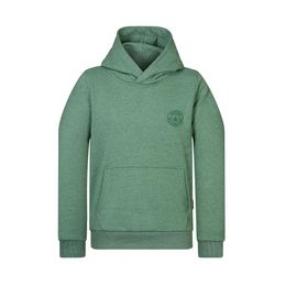 Naketano Sweat Hoody Theo's Lieblingspulli Pine Green Melange | Gr.: M