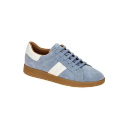 Geox Sneaker Low in Blau | Gr.: 38