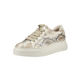 Paul Green Sneaker in Beige | Gr.: 37,5