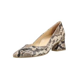 Paul Green Pumps in Beige | Gr.: 39