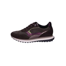 Gabor Lowtop-Sneaker in sherwood/choco/lime | Gr.: 5,5