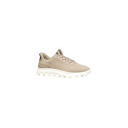 Geox Sneakers Low U Spherica Plus A in natur | Gr.: 45