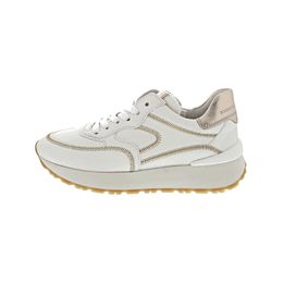 Gabor Sneaker Beige | Gr.: 42