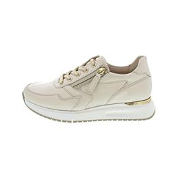 Gabor Comfort Sneaker Beige | Gr.: 38,5