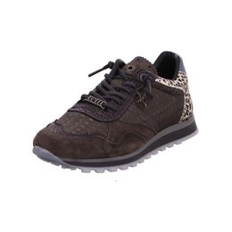 CETTI Sneaker in schwarz | Gr.: 41