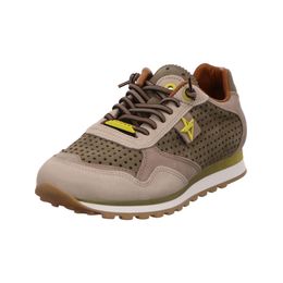 CETTI Sneaker in khaki | Gr.: 46