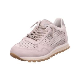 CETTI Sneaker in grau | Gr.: 41