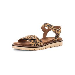 Ara Sandalen in Leopard | Gr.: 40
