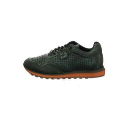 CETTI Sneaker Low in Gr&uuml;n | Gr.: 44