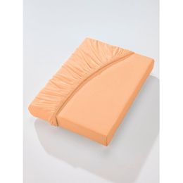 WITT WEIDEN Spannbetttuch in apricot | Gr.: 90x190 cm - 100x200 cm