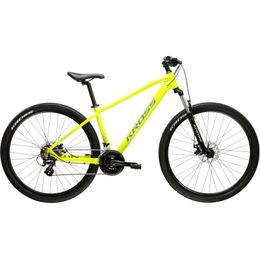Mountainbike KROSS "Hexagon 2.0" Gr. 43, gr&uuml;n (gelb, schwarz), Fahrr&auml;der, Damen, 43cm, 29 Zoll (73,66cm) hinten: 29 Zoll (73,66cm)