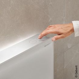 Geberit Monolith Plus Sanit&auml;rmodul H: 114,5 cm, f&uuml;r Stand-WC, 131203SI7,