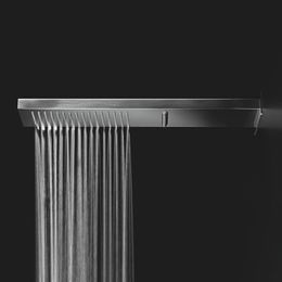 Herzbach Living Spa Kopfbrause, 2 Strahlarten, 11.661500.2.09,