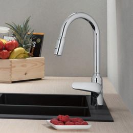 Hansgrohe Focus M42 K&uuml;chenarmatur, ausziehbar, schwenkbar, 71800000,