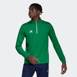 adidas Performance Sportsweatshirt 'Entrada 22' Herren Gr&ouml;&szlig;e XXXL gr&uuml;n / wei&szlig;