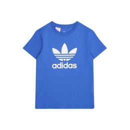 adidas originals Shirt 'Adicolor Trefoil Tee' Jungen Gr&ouml;&szlig;e 140 royalblau / wei&szlig;