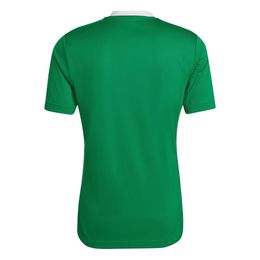 adidas Performance Performance Shirt 'Entrada 22' male Green size XXL
