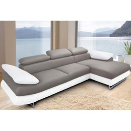 Ecksofa COTTA, B:286cm H:73cm T:167cm, wei&szlig;, Wohnzimmer, Sofas, "Solution L-Form", mit Arm- & Kopfteilverstellung, wahlweise mit Bettfunktion
