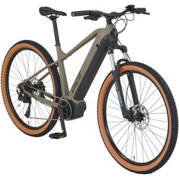 Prophete E-Bike "Dice 3.0", 48cm, 29 Zoll (73,66cm), schwarz, Elektrofahrr&auml;der, Pedelec, Elektrofahrrad f&uuml;r Damen und Herren, MTB