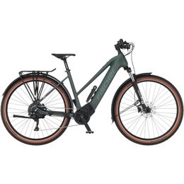 FISCHER BIKE FISCHER FAHRRAD E-Bike "TERRA T100 711", 45cm, 28 Zoll (71,12cm), gr&uuml;n, Elektrofahrr&auml;der, Pedelec, Elektrofahrrad f&uuml;r Damen und Herren