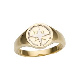 Firetti Damen Goldring "Schmuck Geschenk Gold 333 Siegelring Kompass, edel, tlw. rhodiniert", 16, Gelbgold 333, 3mm, silber, Gelbgold 333, Fingerringe