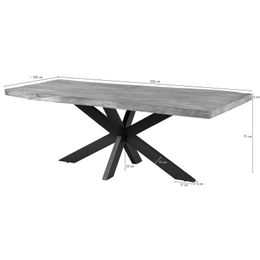 Baumtisch Mango 200x100x77 grau lackiert / Kreuzgestell anthrazit matt FREEFORM 5