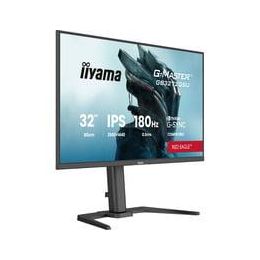 iiyama G-Master GB3272QSU-B1 Red Eagle, Gaming-Monitor 80 cm (31.5 Zoll), schwarz (matt), QHD, IPS, HDMI, DP, G-Sync-Kompatibilit&auml;t, 180Hz Panel