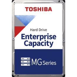 Toshiba MG10 Enterprise Capacity - 10 TB