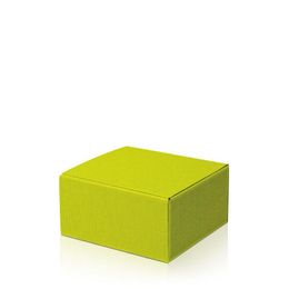 25 x Geschenkbox"Modern Limette" 200 x 200 x 100 mm