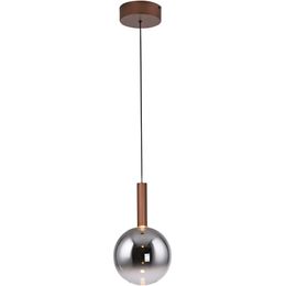 Paul Neuhaus LED Pendelleuchte "BOWL", braun, 1, &Oslash; 20cm H: 100cm, 1 Stk., Leuchten, Dimmbar &uuml;ber Lichtschalter, Memory, H&ouml;henverstellbar, Rauchgl&auml;ser, LED Pendelleuchte