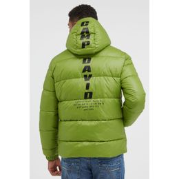 Winterjacke CAMP DAVID, Herren, Gr. 4XL, pistachio, Steppware, Material Oberstoff: 100% Polyester, Futter Rumpf: 100% Polyamid, Futter &Auml;rmel: 100% Polyester, F&uuml;llung: 100% Polyester, bedruckt, bestickt, regular fit normal, eingesetzt elastischer Bund, Jacken Winterjacke, mit Elastikb&uuml;ndchen