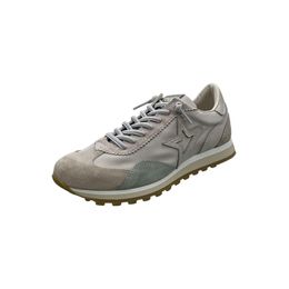 CETTI Sneaker Low in Beige | Gr.: 42