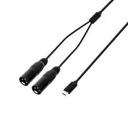 Adam Hall AH Cable 3 STAR Y MM USB-C 0150 - USB-C Y-Kabel - 2 x XLR Male x USB-C - 1,5 m